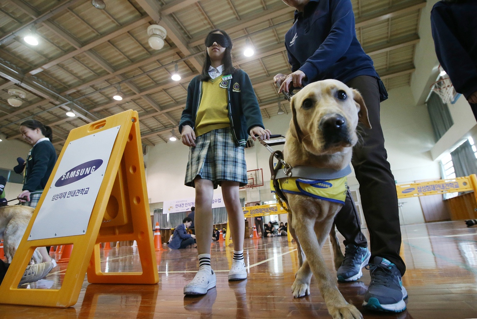 [Photo] Guide dog experience on guide dog day : National : News : The ...